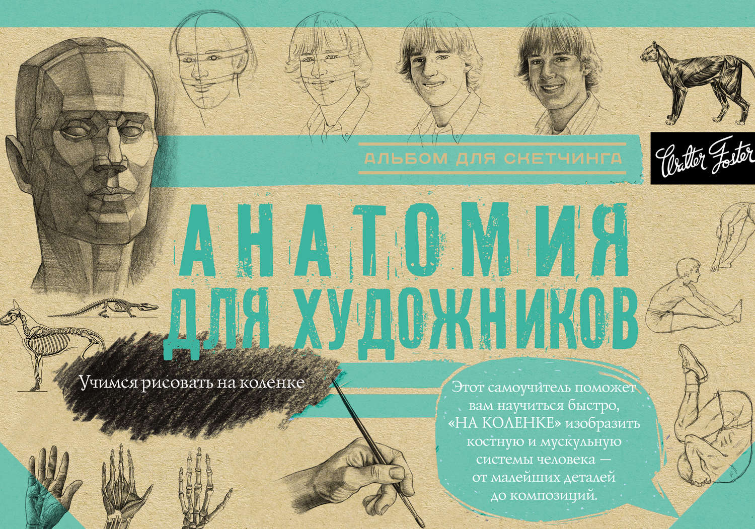 Коллектив авторов, книга Анатомия для художников. Альбом для скетчинга ...