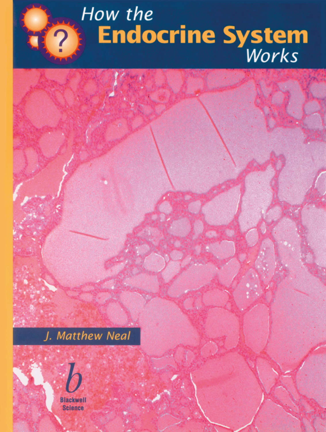 J Matthew Neal How The Endocrine System Works Download As Pdf At Litres