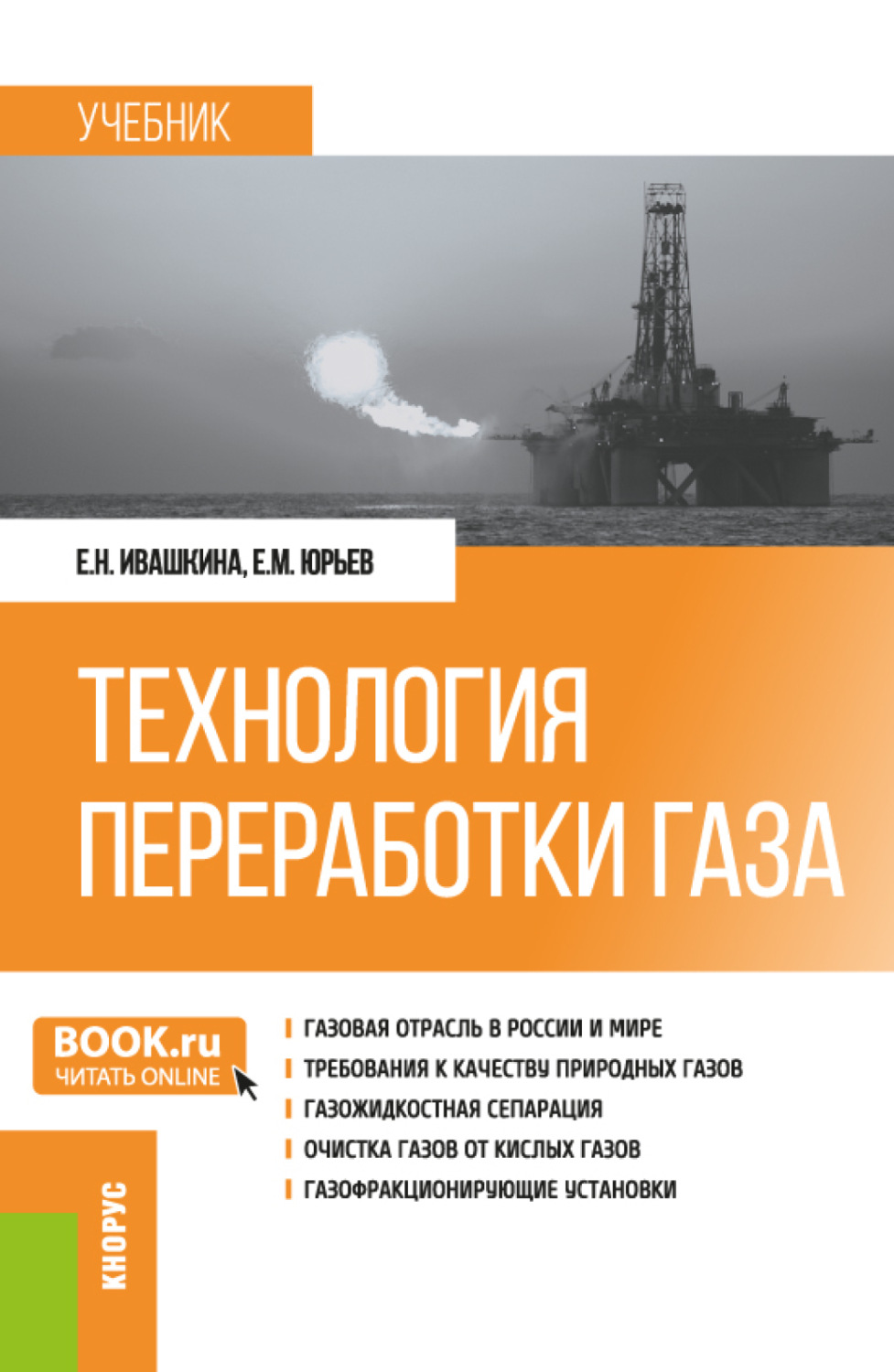 Елена Николаевна Ивашкина, книга Технология переработки газа ...